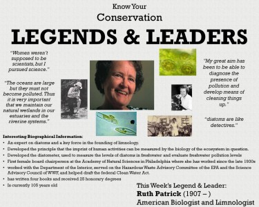 Conservation Legends & Leaders – Rissman Research Group