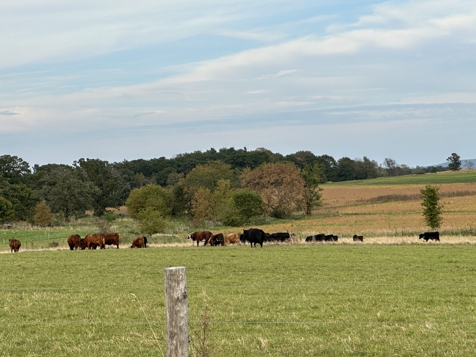 Survey results show Midwest farmers’ views on farm financial programs ...